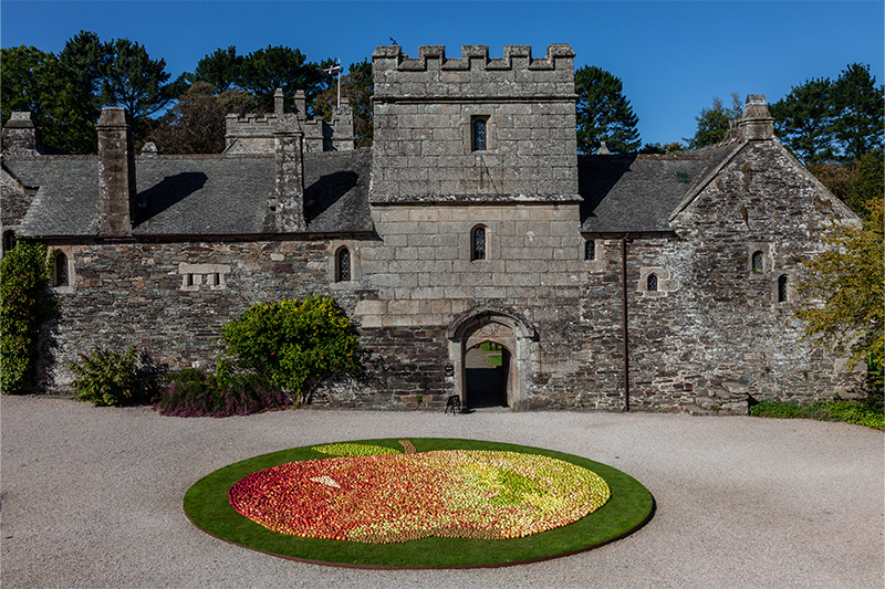 Cotehele apple weekender kicks off National Trust apple events in and ...
