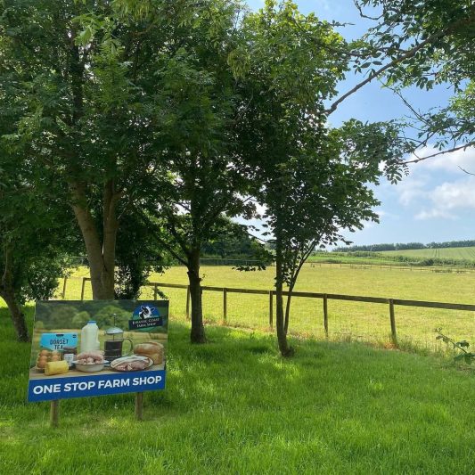 The Jurassic Coast Farm Shop, Dorset