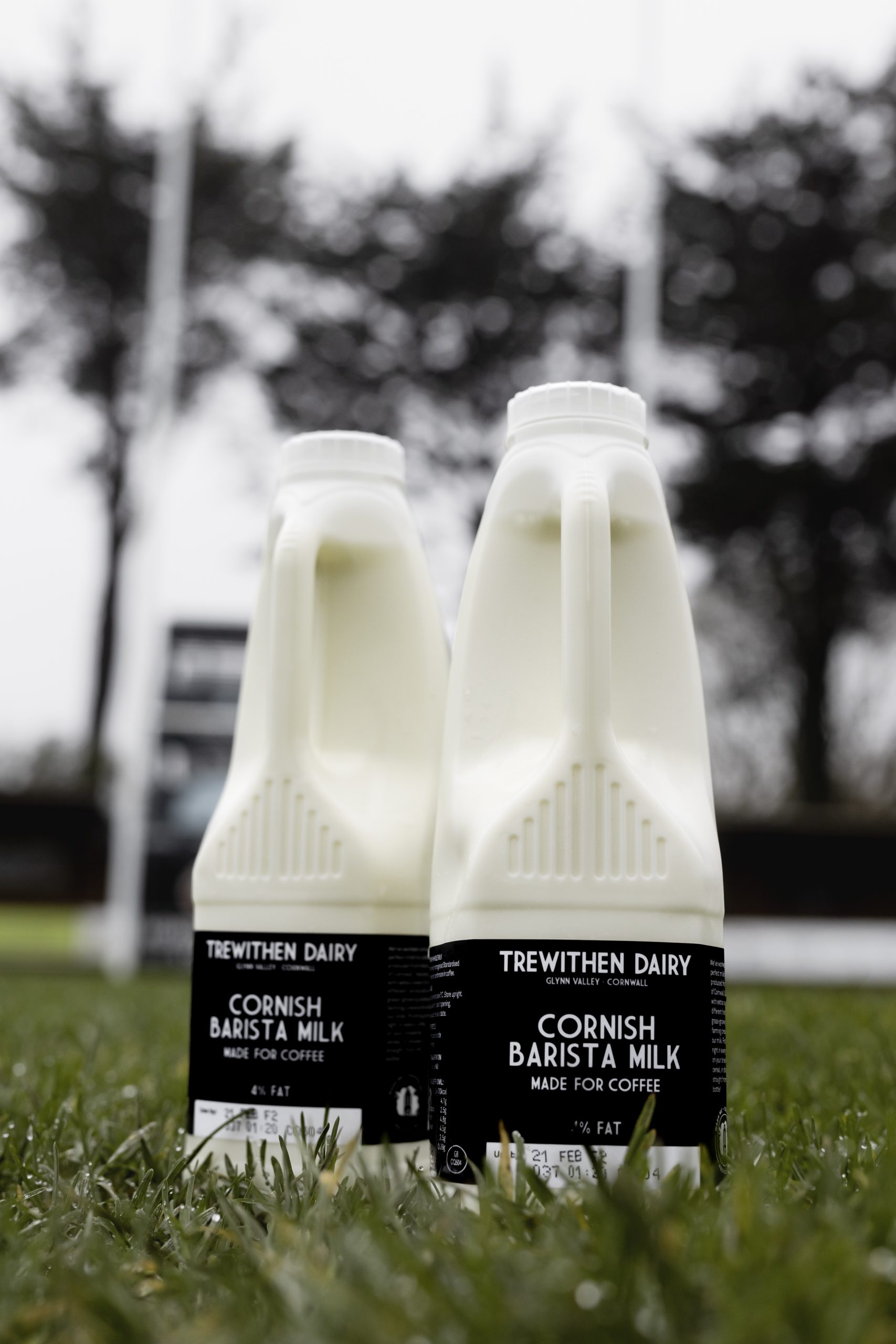 Trewithen Dairy joins forces with the Cornish Pirates to launch # ...