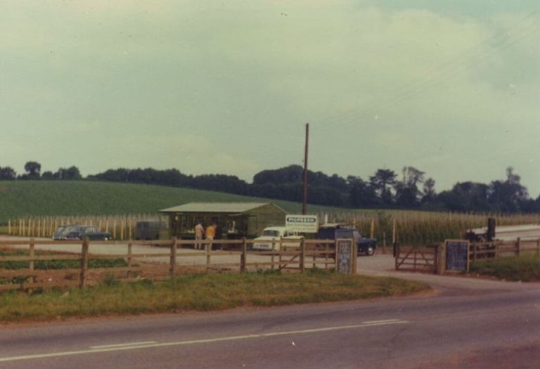 Darts Farm marks 55 years with Summer Festival celebration