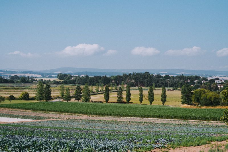 Darts Farm marks 55 years with Summer Festival celebration
